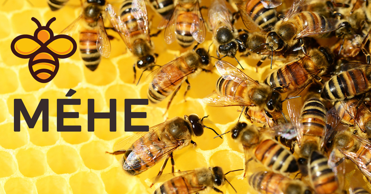 MÉHE - Mézkedvelő Hunnia Egyesület
